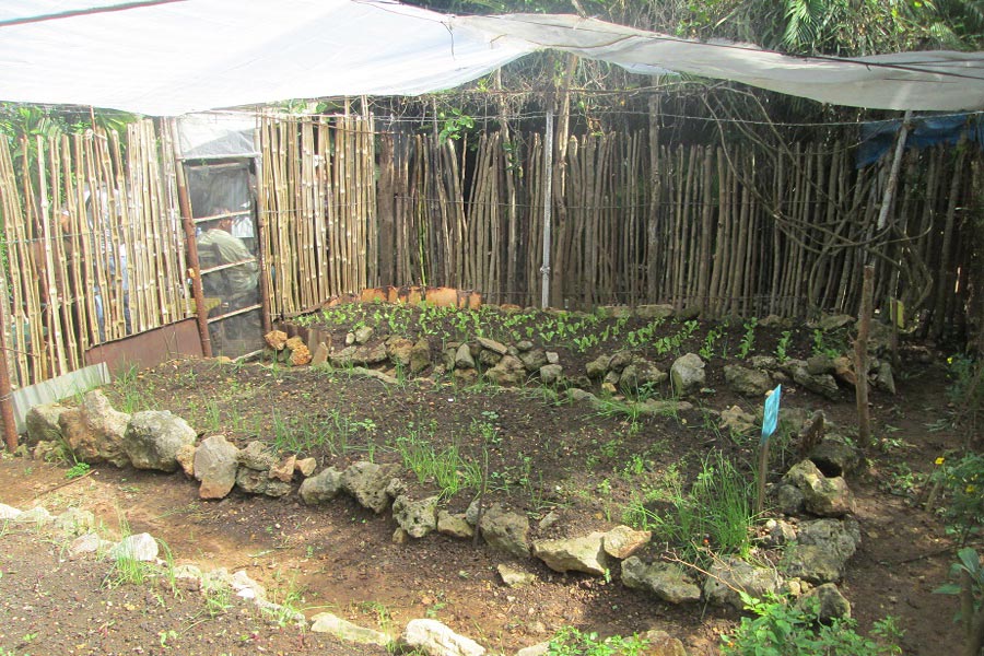 Encuentro comparte la experiencia agroecológica cubana - IPS Cuba